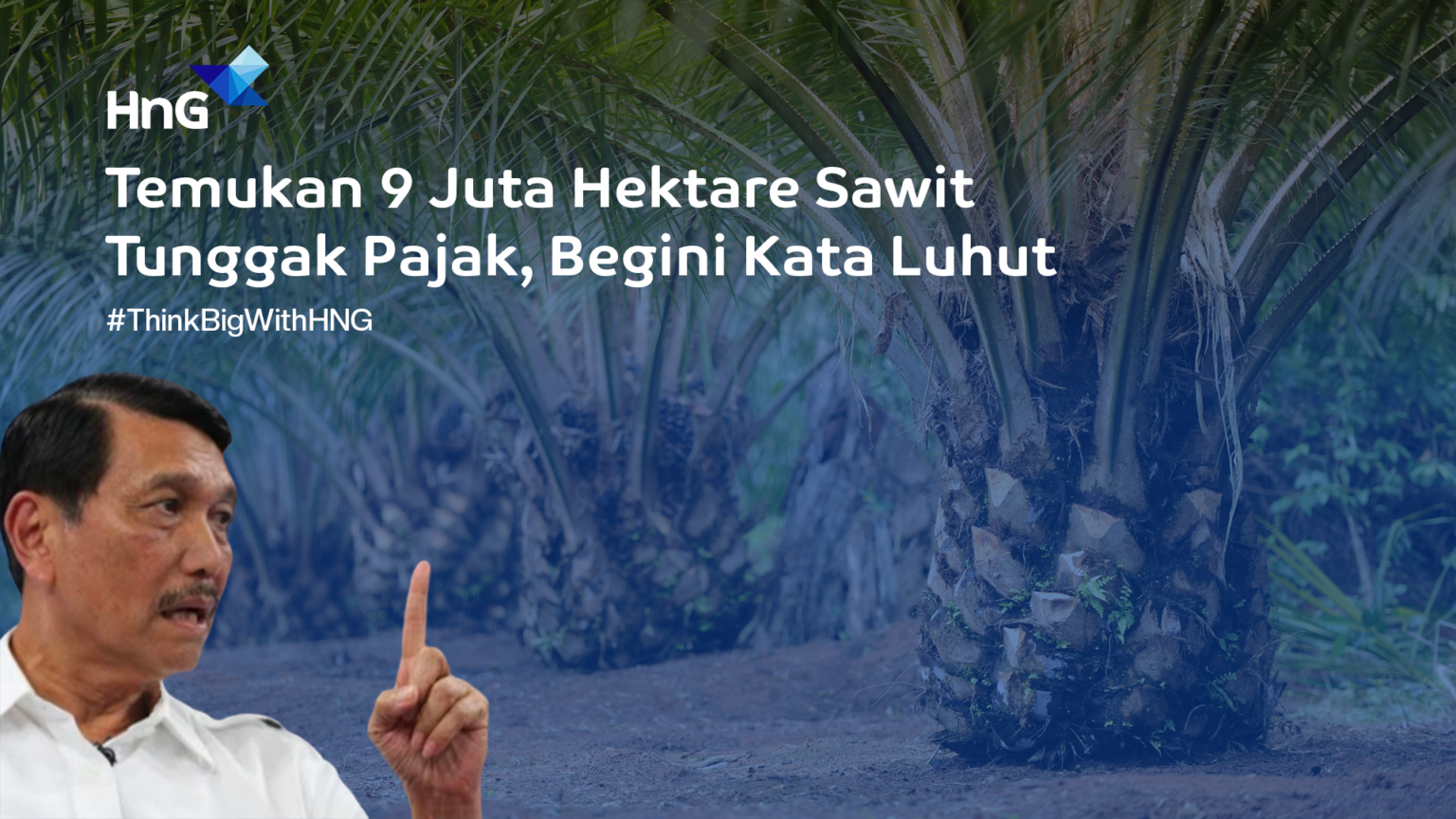 Temukan 9 Juta Hektare Sawit Tunggak Pajak, Begini Kata Luhut – HnG ...
